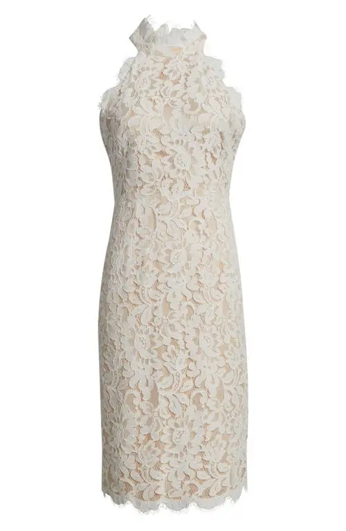 corded lace sheath dress Alex Evenings Long Sleeveless Corded Fit and Flare Dress with Shawl MINK / 14 main image 1