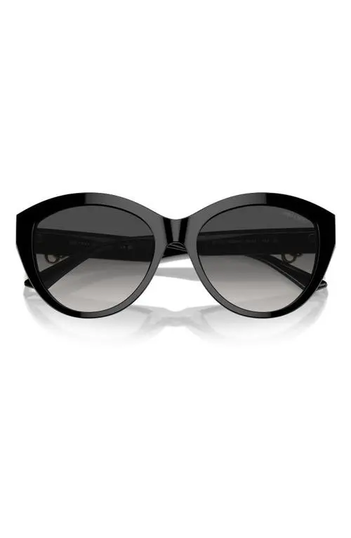 JIMMY CHOO 55mm Phantos Sunglasses - Black/gradient Grey