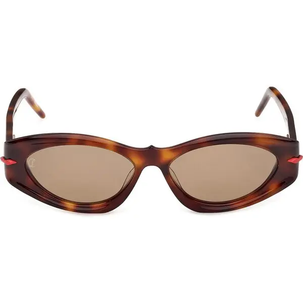 CHRISTIAN LOUBOUTIN 55mm Cat Eye Sunglasses - Classic Havana/gold/zeiss
