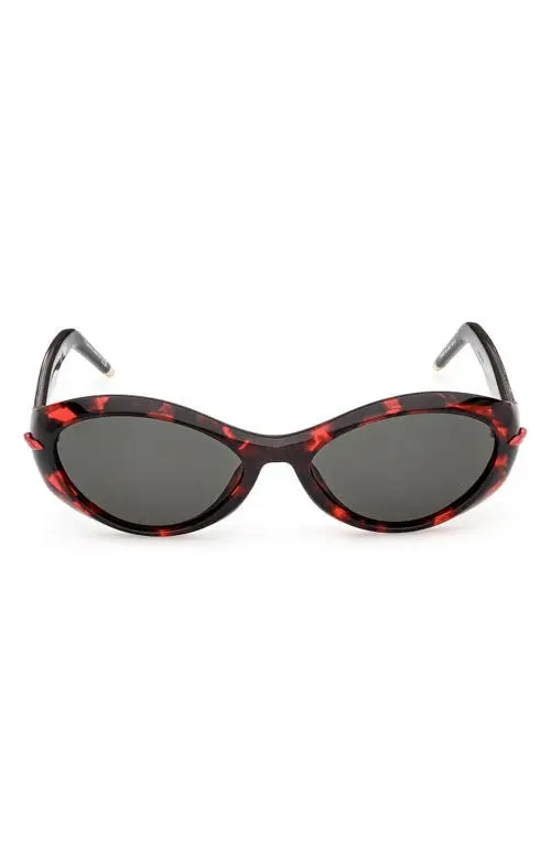 CHRISTIAN LOUBOUTIN 55mm Oval Sunglasses - Red Havana/bilayer Black