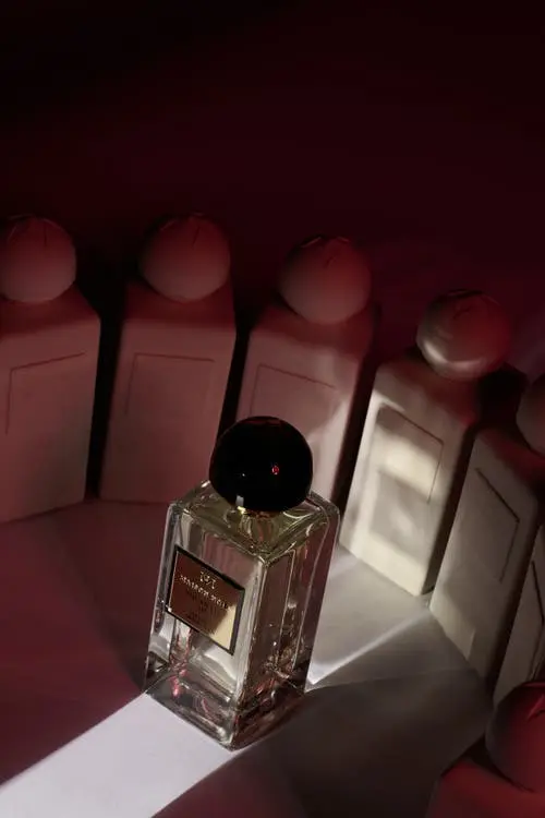 MAISON NOIR Volantis 685 - None