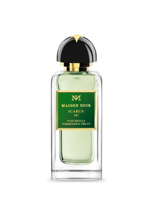 MAISON NOIR Icarus 347 - None