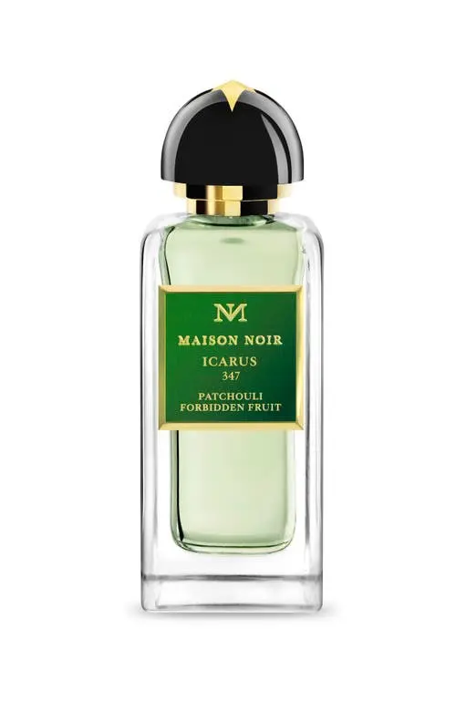 MAISON NOIR Icarus 347 - None