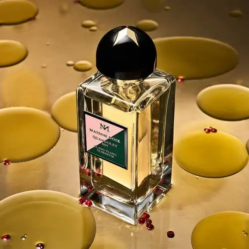 MAISON NOIR Quandoley 805 - None