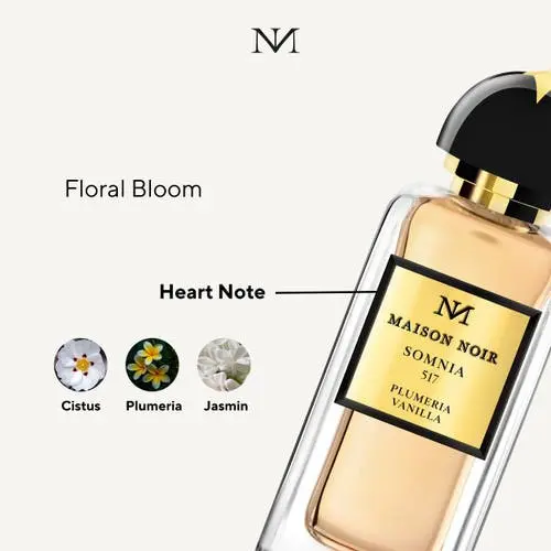 MAISON NOIR Somnia 517
