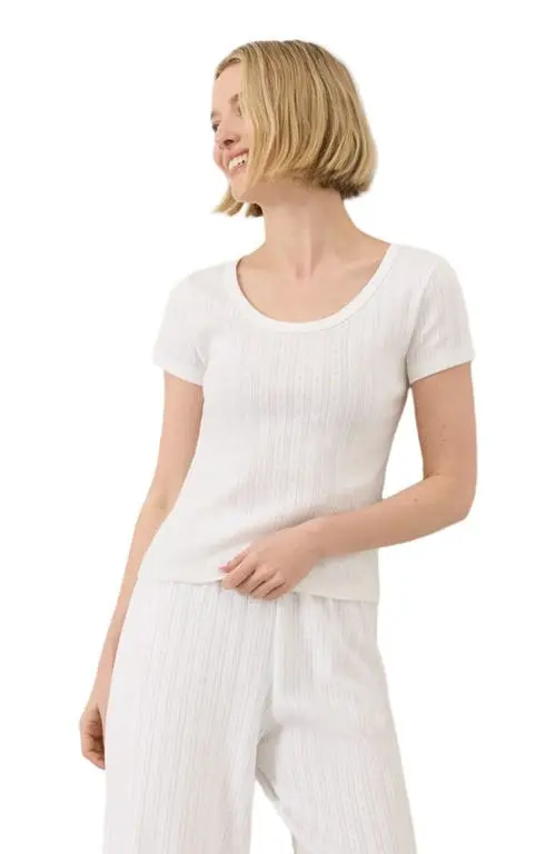 PACT Organic Cotton Pointelle Scoop Neck Tee - White