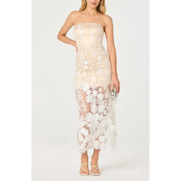 Astr The Label Tanisha 3d Floral Appliqué Semi Sheer Midi Dress - White