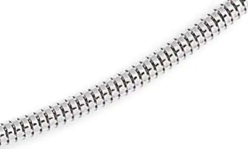 THE SIS KISS Sophia Snake Chain Choker Necklace - Silver