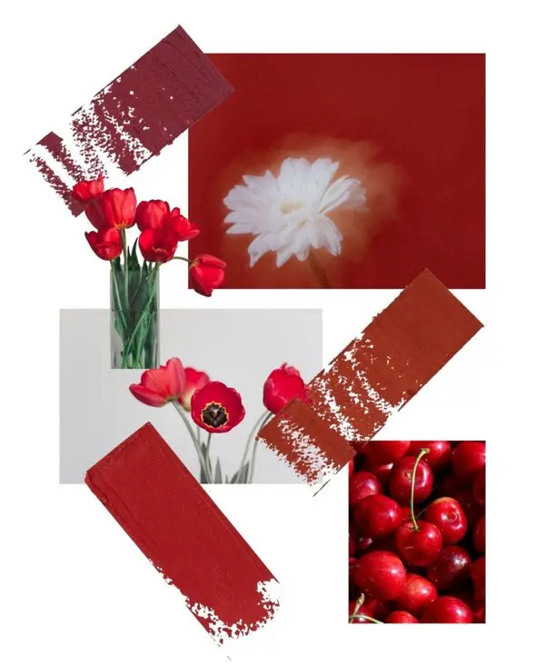 SIIA COSMETICS 3-pc. The Reds Set