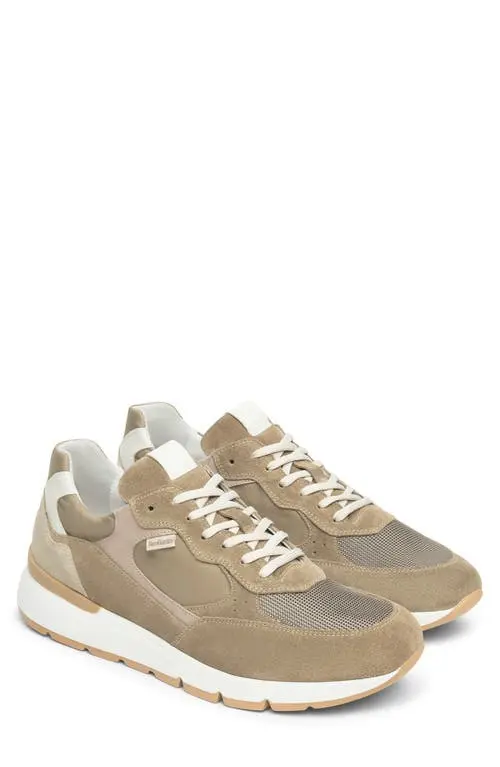 NEROGIARDINI Low Top Trainer Sneakers - Taupe