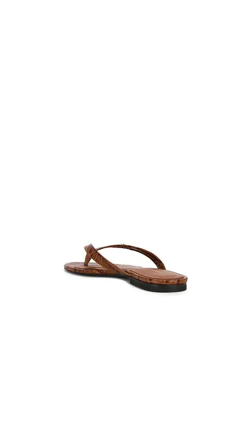 ANINE BING Noelle Thong Sandal - Brown