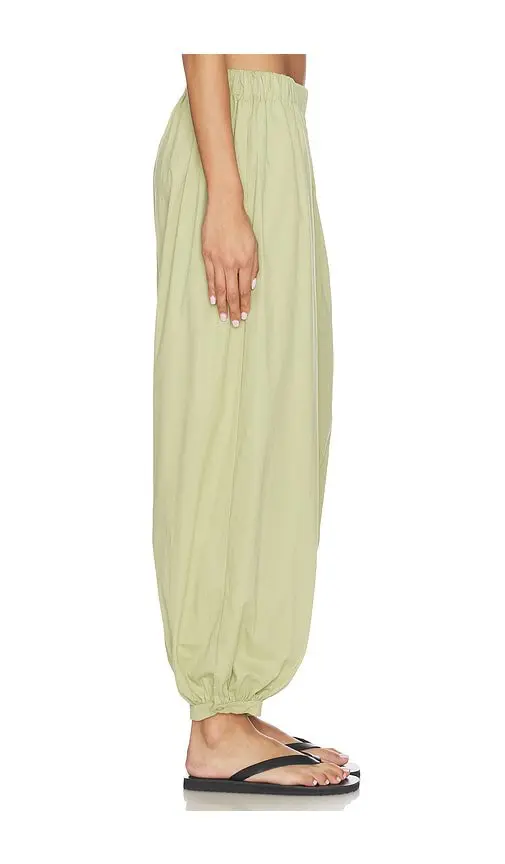 Lioness Wilderness Pant - Sage