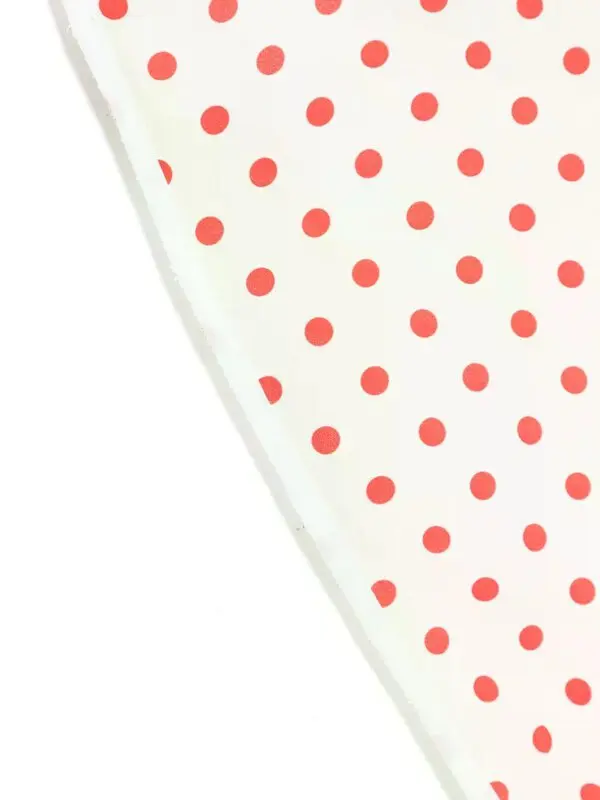 N°21 Polka-dot Scarf