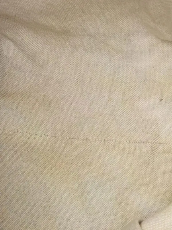 Gucci Gg Canvas Web Tote Bag