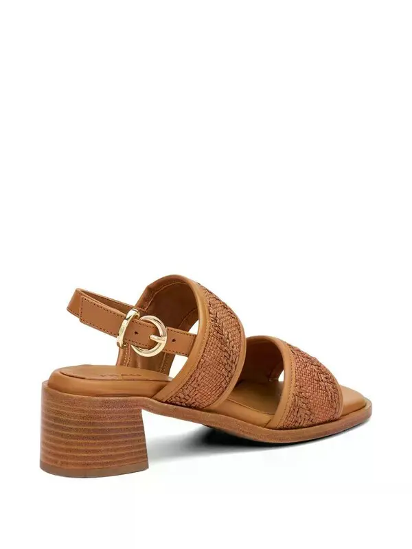 FRAU Buckle-strap Sandals - Brown