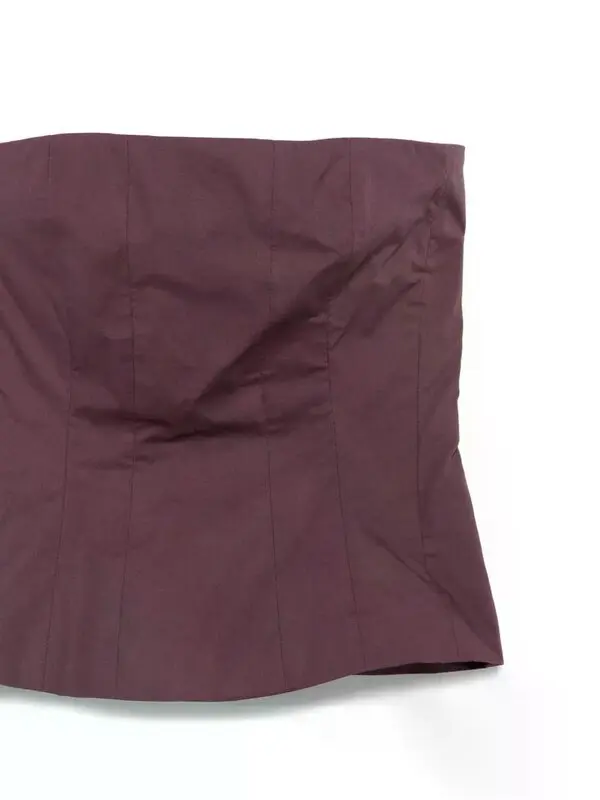 Federica Tosi Strapless Paneled Bustier Top