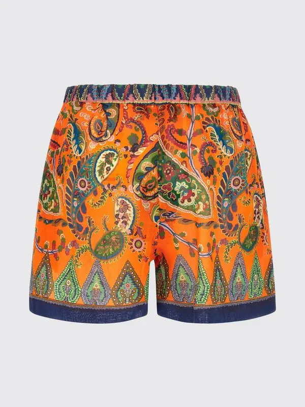 Etro Printed Shorts - Multicolor
