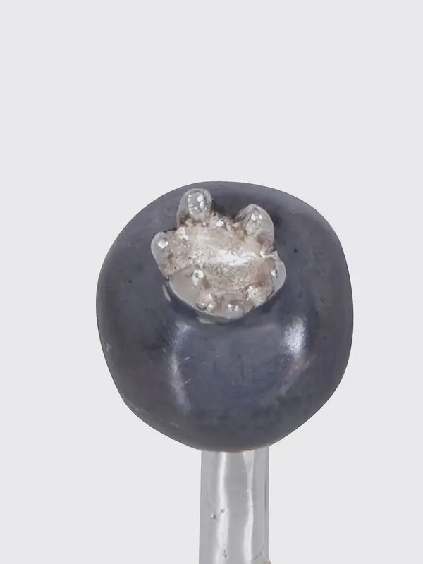 ROSA MARIA Sterling Chrome Finish Ring - Silver
