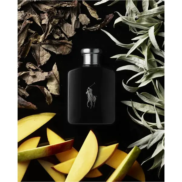 Ralph Lauren Polo Eau De Toilette