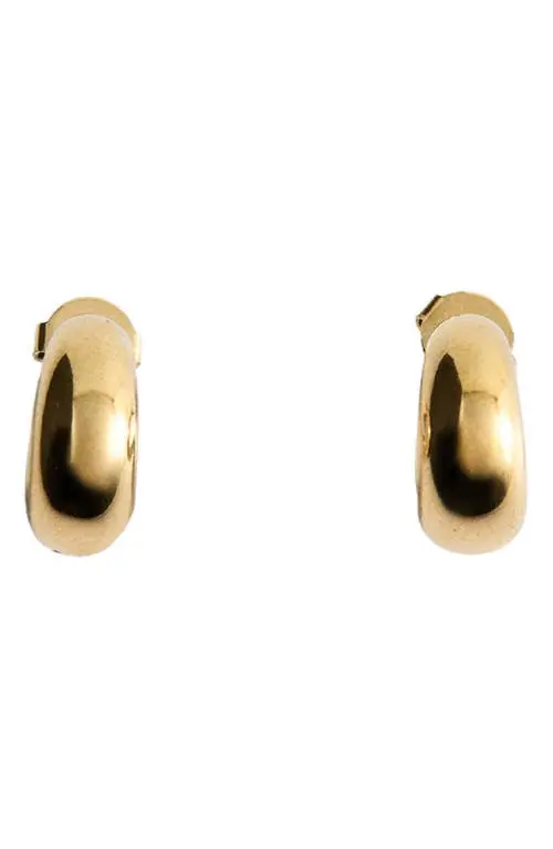 Mango Semi Hoop Earrings - Gold