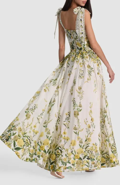 Alice + Olivia Haven Cotton & Silk Fit & Flare Maxi Dress - Fresh Air  Butter | Editorialist