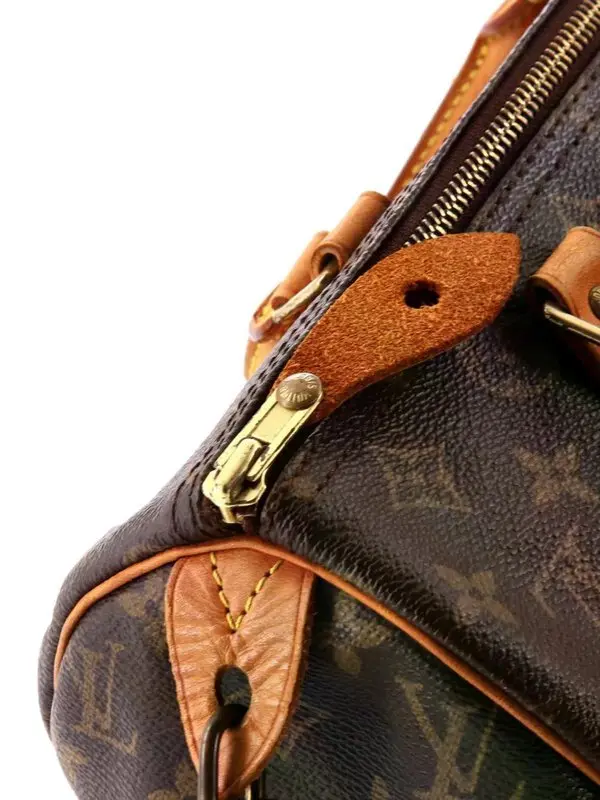 LOUIS VUITTON Speedy 30 Handbag Monogram Canvas Satchel