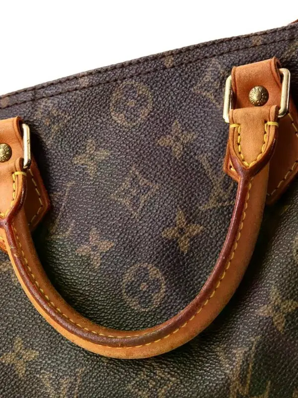 LOUIS VUITTON Speedy 30 Handbag Monogram Canvas Satchel