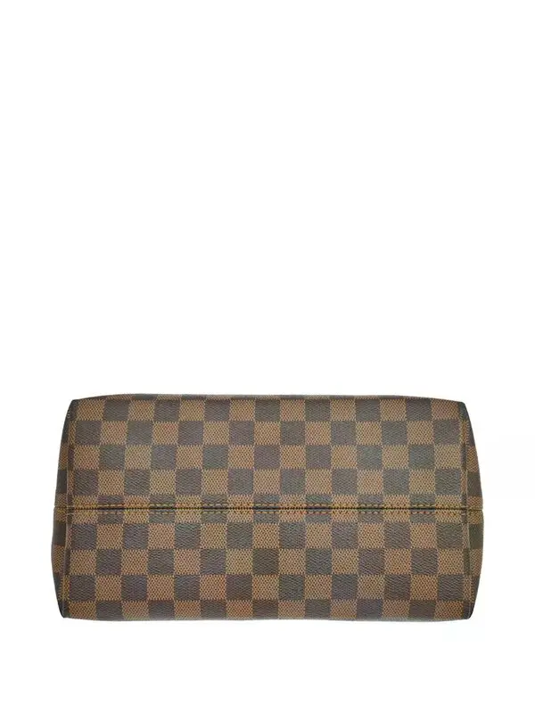 LOUIS VUITTON Damier Iena Tote Bag