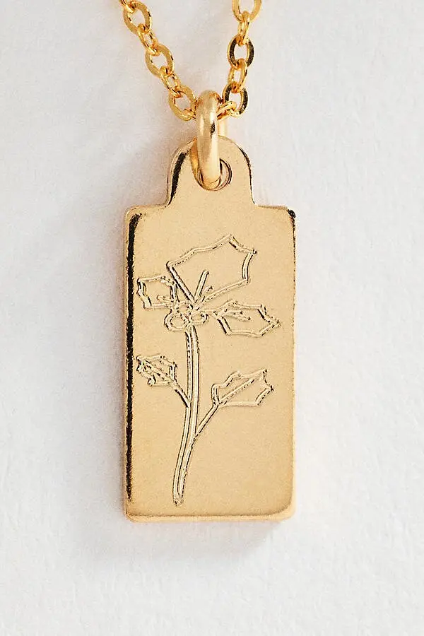 SET & STONES Tawney Birth Flower Necklace - December