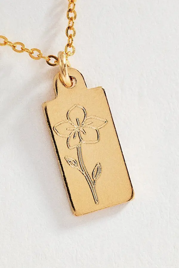 SET & STONES Tawney Birth Flower Necklace - February