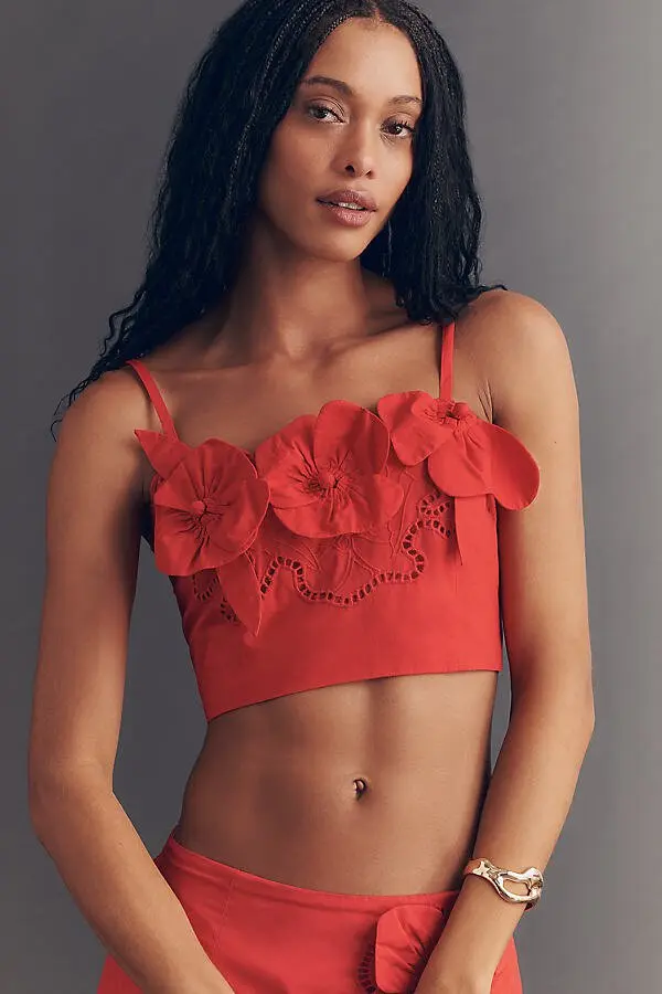 Maeve Floral Appliqué Crop Top
