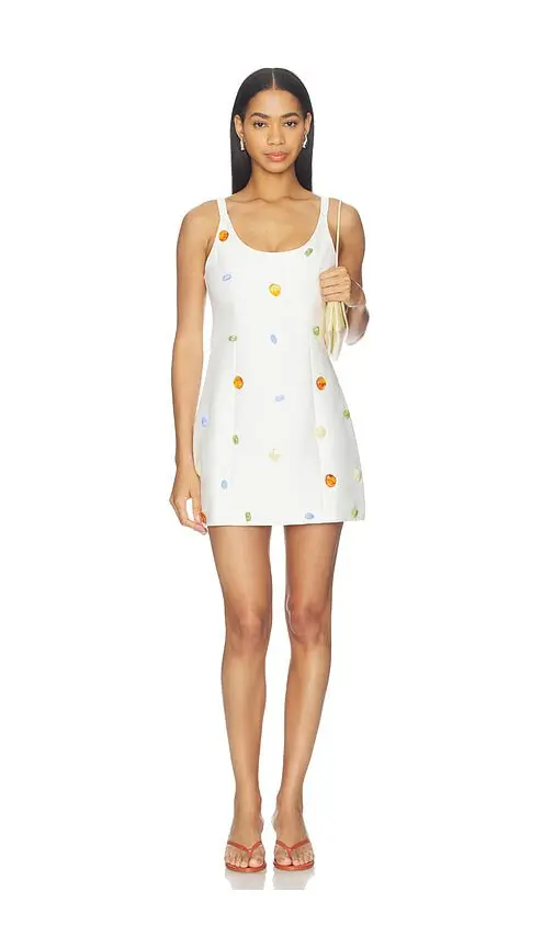 THE WOLF GANG Romy Mini Dress