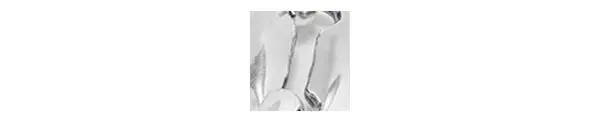UNODE50 Sterling -plated Oval Link Chain Bracelet