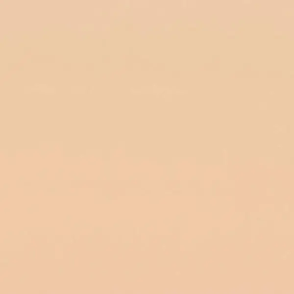 ANASTASIA BEVERLY HILLS Magic Touch Concealer - Neutral