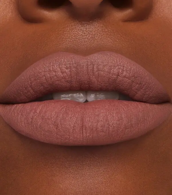 Estée Lauder Pure Colour Matte Lipstick