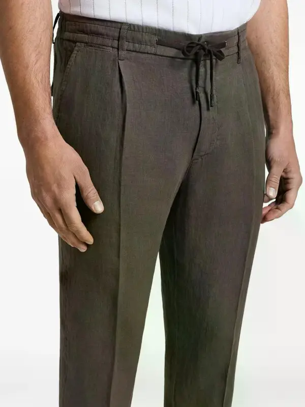 Peserico Drawstring-waist Pleated Trousers - Brown
