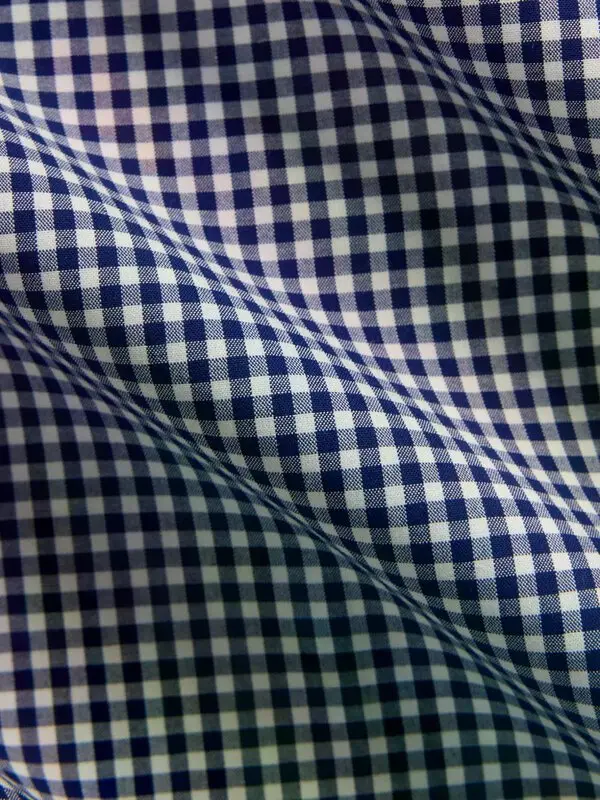 Polo Ralph Lauren Gingham-check Shirt - Blue