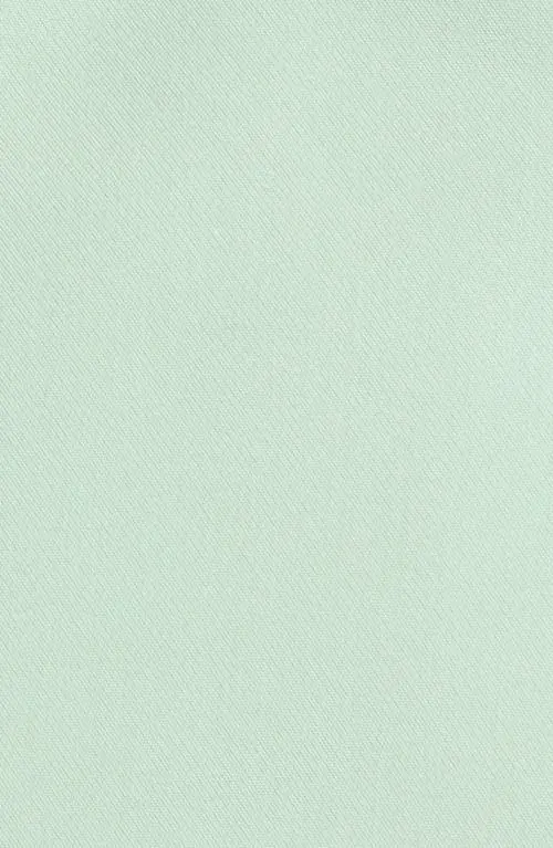 ALIGNE Belted Jacket - Mint