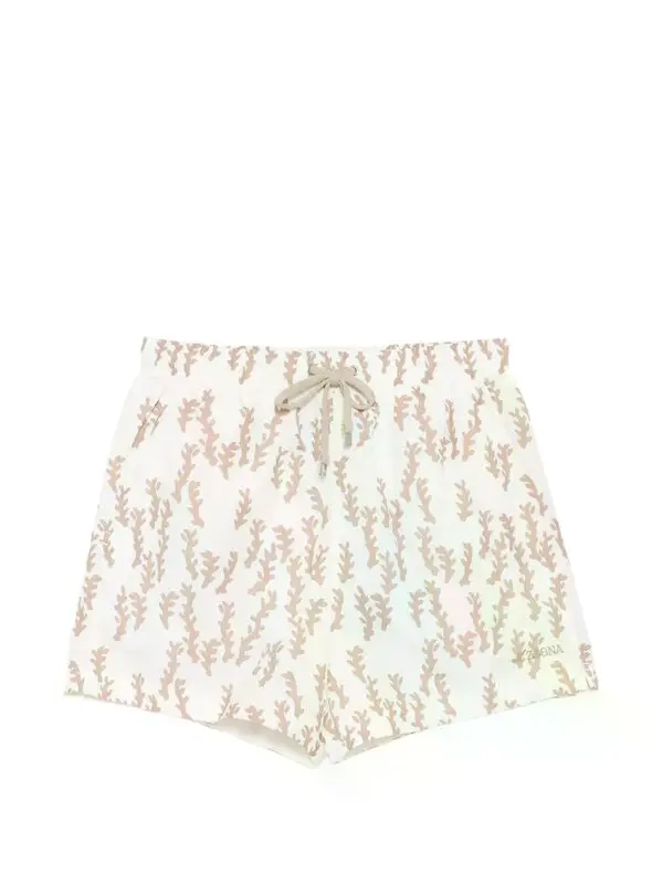 Zegna Printed Drawstring Swim Shorts - Neutrals