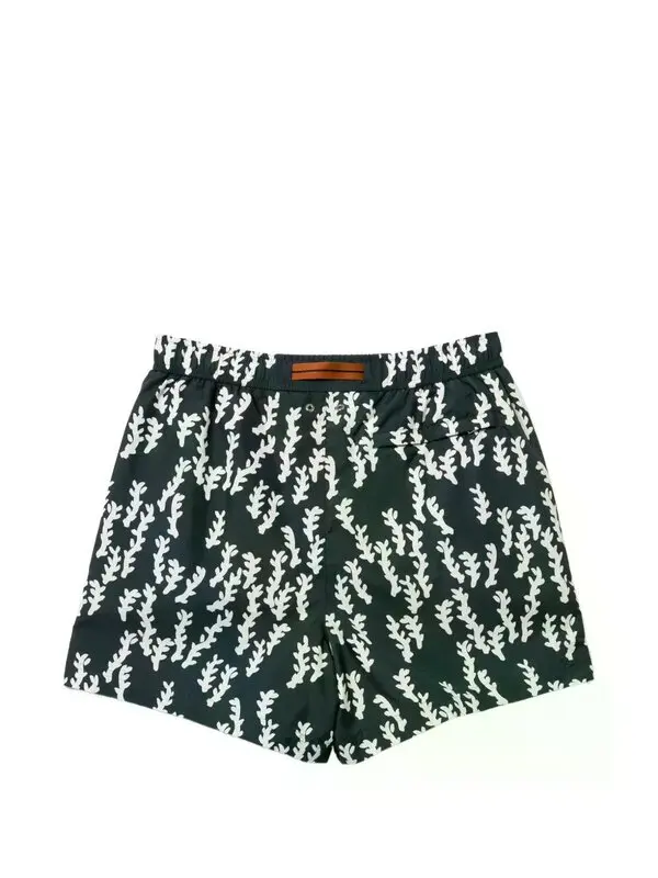 Zegna Printed Swim Shorts - Green
