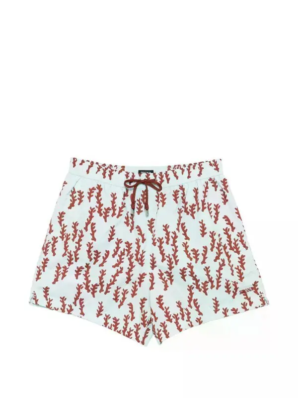 Zegna Printed Drawstring Swim Shorts - Blue