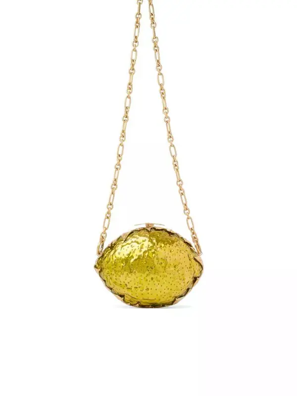 Chloé Leaf-embellished Chain-strap Cross Body Bag