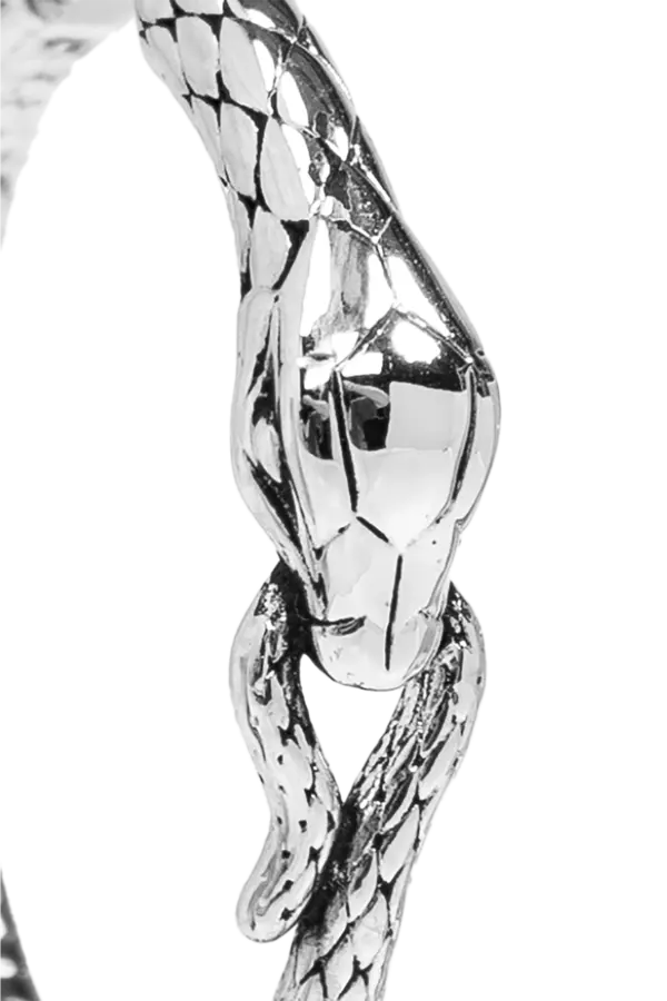 VIVIENNE WESTWOOD Single Snake Motif Earring