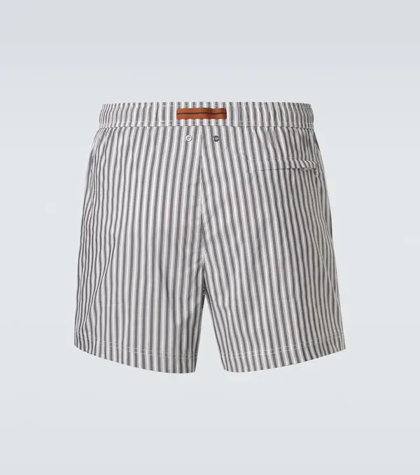 Zegna Striped Swim Trunks - Blue