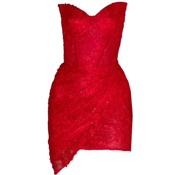 ANGELIKA JOZEFCZYK Mini Lace Dress