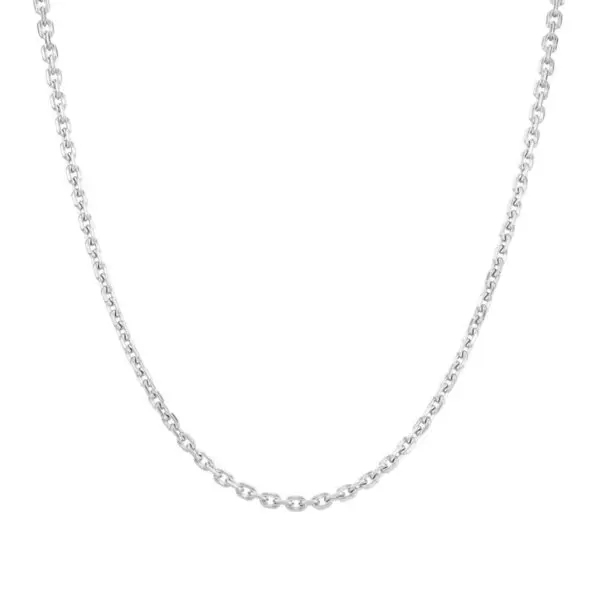 DINNY HALL Silver Chunky Trace Chain Necklace - Silver/white