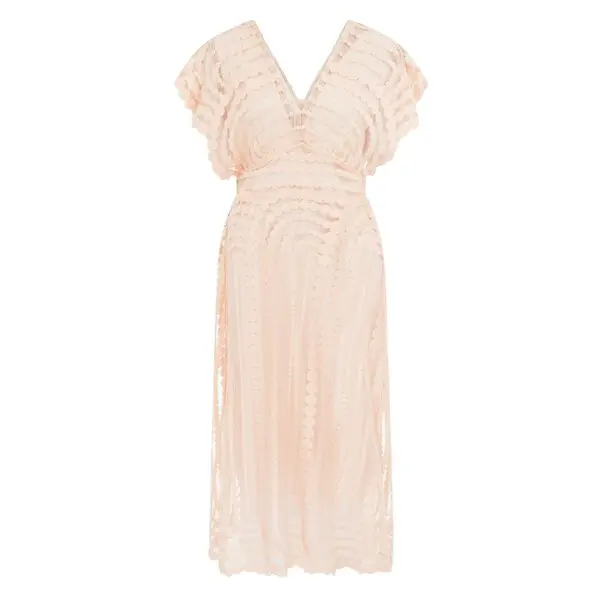 LISA THE LABEL Cappuccino Embroidered Tulle Dress