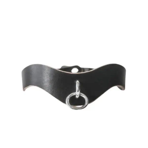 THEANIMALS S&m Leather Collar - Black