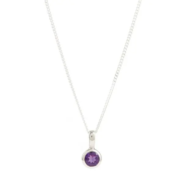 CHARLOTTE'S WEB JEWELLERY February Birthstone Charm Necklace - Silver
