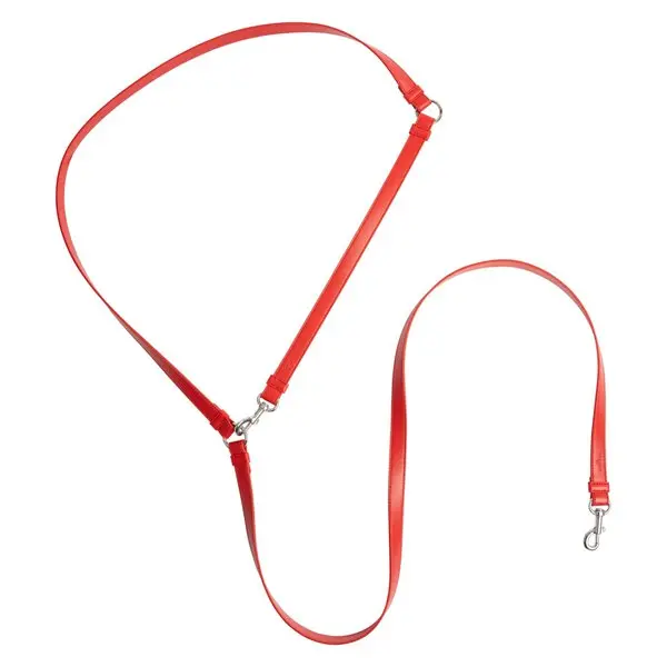 ALECOO Classy Adjustable Dog Leash - Red
